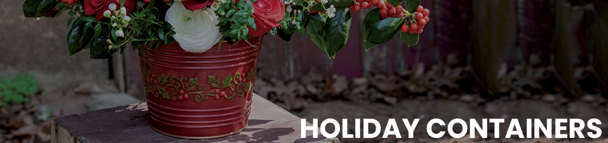 Holiday Containers