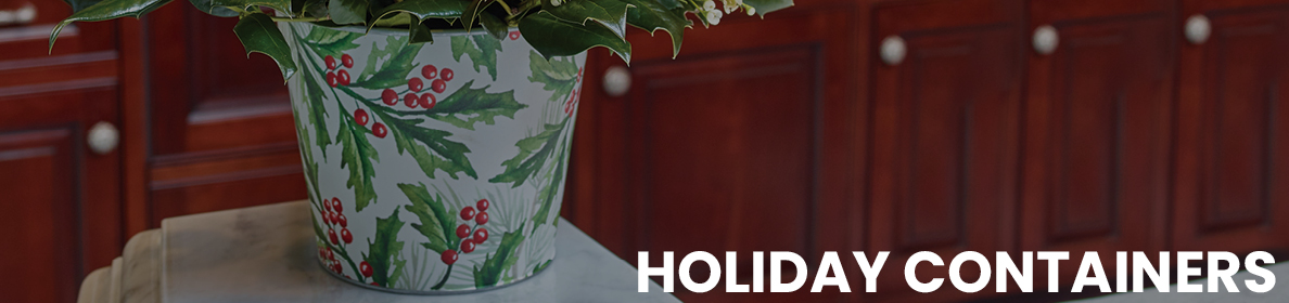 Holiday Containers