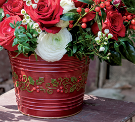 Wholesale Containers for All Purposes & Designs | b+B