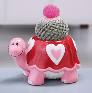 burton + BURTON® | World's Largest Balloon and Gift Supplier