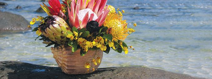 burton + BURTON | World's Largest Balloon and Gift Supplier