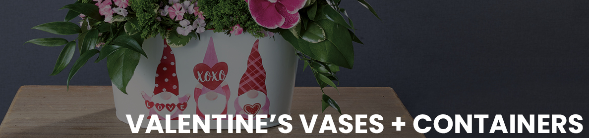 Wholesale Valentine Baskets & Containers